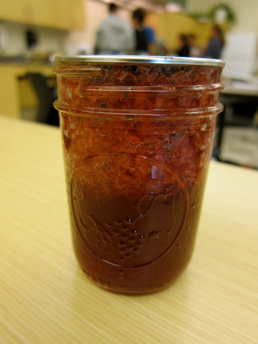 Mastering Food Preservation: Jams & Jellies | Diary of a Tomato